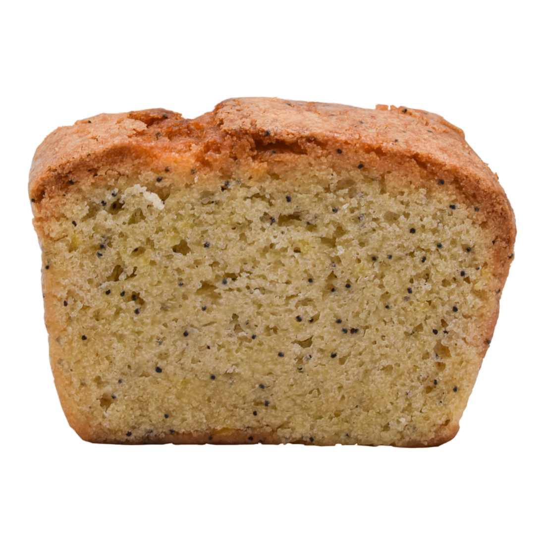 Bread Lemon Poppyseed - Outrageous Bakery – Vento Coffee